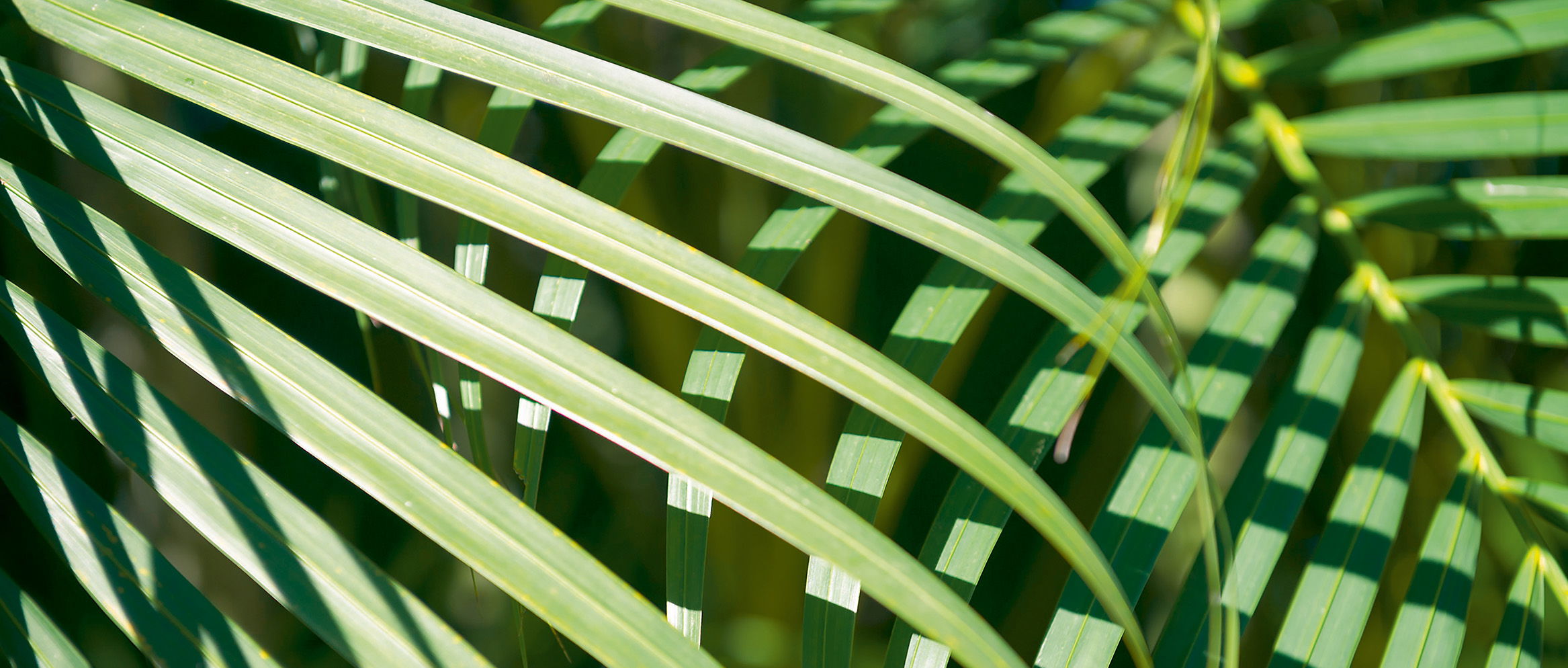 Niessing Mirage pendant round